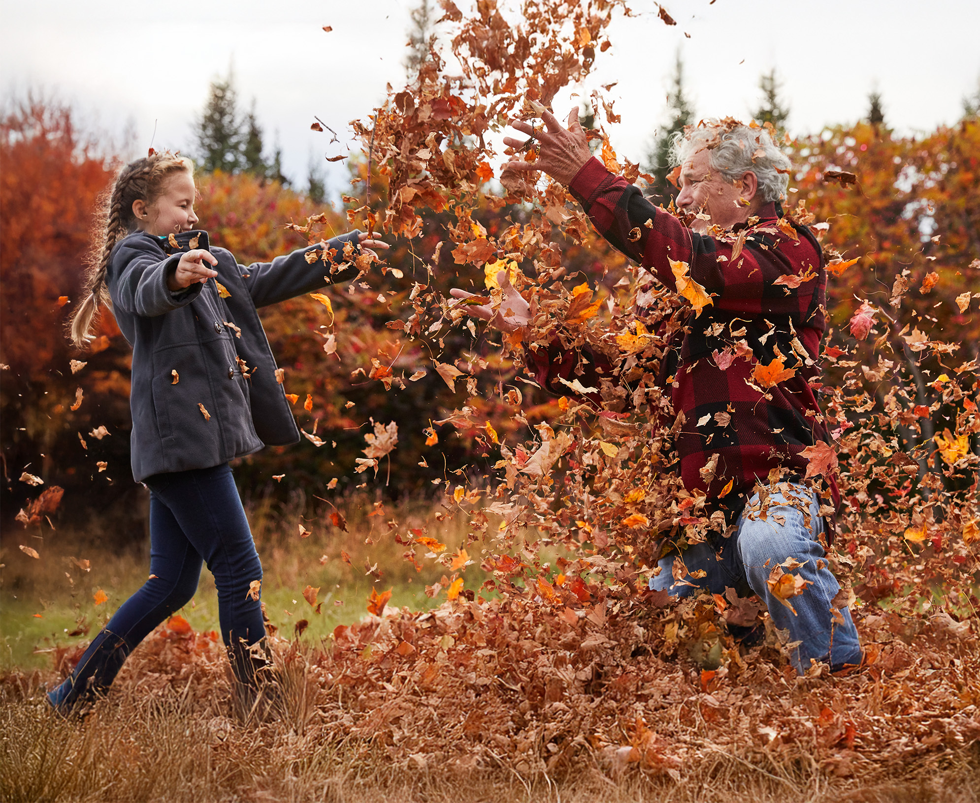 Illinois Health Insurance | Blue Cross and Blue Shield of Illinois